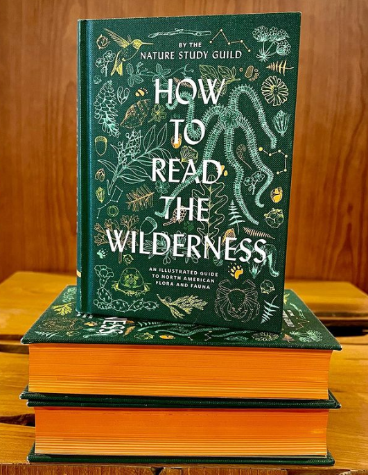 How to Read the Wilderness: An Illustrated Guide to the Natural Wonders ...